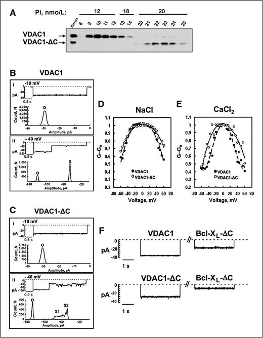 Expression of a Truncated Active Form of VDAC1 in Lung Cancer ...