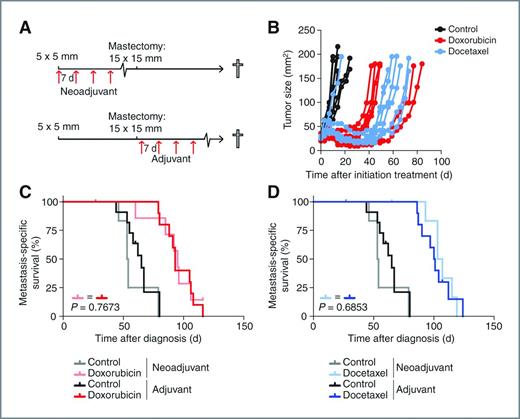 A Preclinical Mouse Model of Invasive Lobular Breast Cancer Metastasis ...