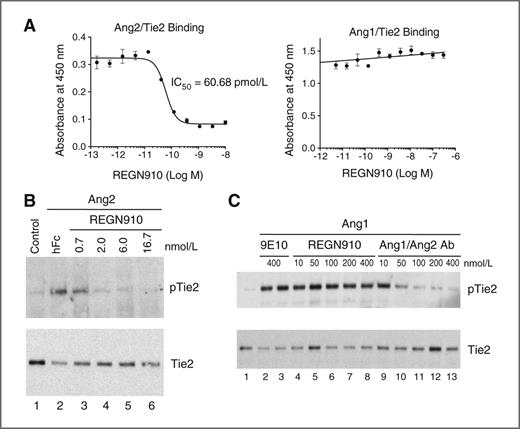 Angiopoietin-2 Functions as a Tie2 Agonist in Tumor Models, Where It ...
