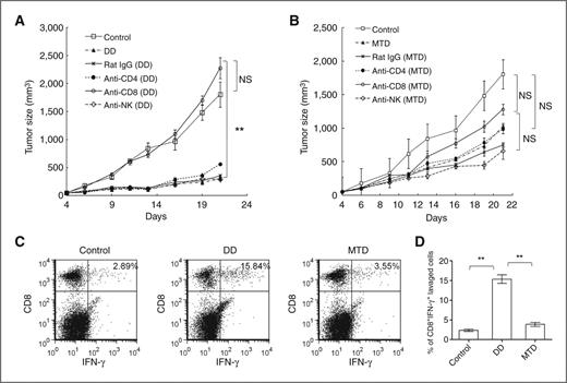 Dose-Dense Chemotherapy Improves Mechanisms of Antitumor Immune ...