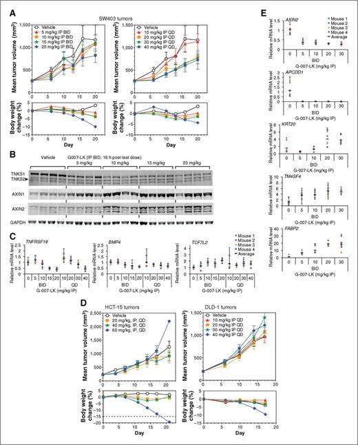 A Novel Tankyrase Small-Molecule Inhibitor Suppresses APC Mutation ...