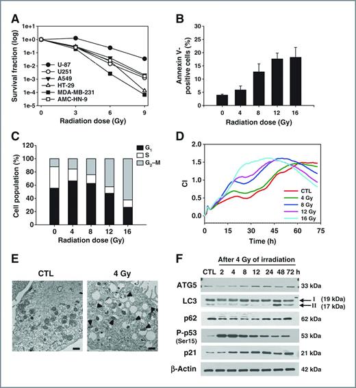 Radioresistant Cancer Cells Can Be Conditioned to Enter Senescence by ...