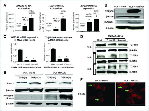 HMGA2 Is a Driver of Tumor Metastasis | Cancer Research | American ...