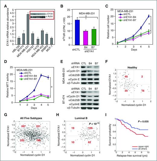 EYA1 Phosphatase Function Is Essential to Drive Breast Cancer Cell ...