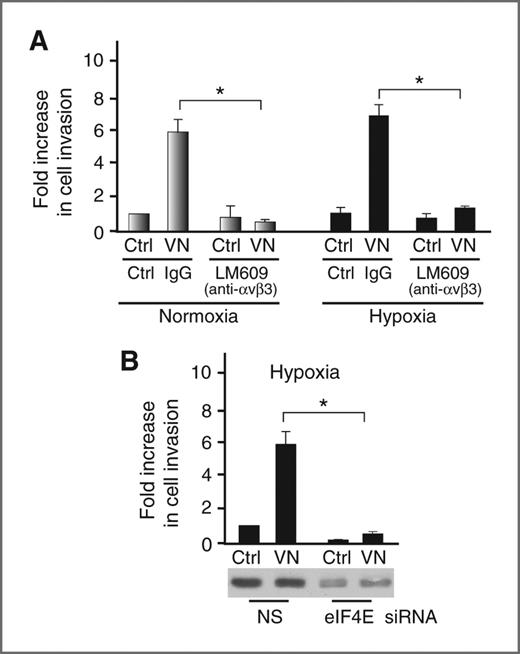 Vitronectin–αvβ3 Integrin Engagement Directs Hypoxia-Resistant mTOR ...