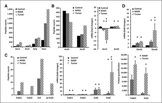 Proteomic and Lipidomic Signatures of Lipid Metabolism in NASH ...