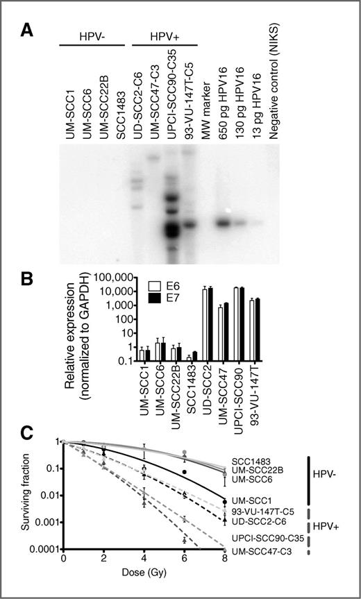 Enhanced Radiation Sensitivity in HPV-Positive Head and Neck Cancer ...