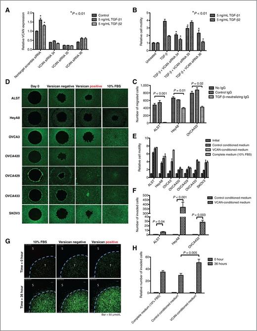 TGF-β Modulates Ovarian Cancer Invasion by Upregulating CAF-Derived ...