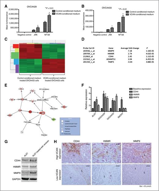 TGF-β Modulates Ovarian Cancer Invasion by Upregulating CAF-Derived ...