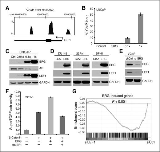 ERG Is a Critical Regulator of Wnt/LEF1 Signaling in Prostate Cancer ...