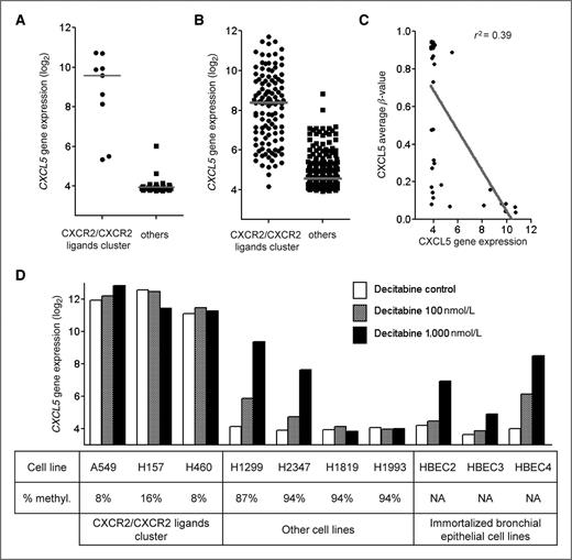 CXCR2 Expression in Tumor Cells Is a Poor Prognostic Factor and ...