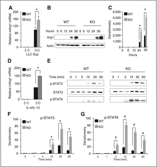 Cell Surface Receptor FPR2 Promotes Antitumor Host Defense by Limiting ...