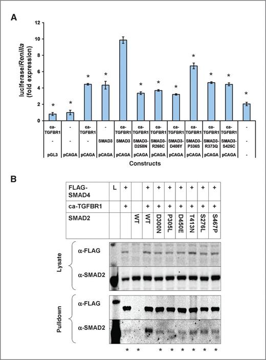 SMAD2, SMAD3 and SMAD4 Mutations in Colorectal Cancer | Cancer Research ...
