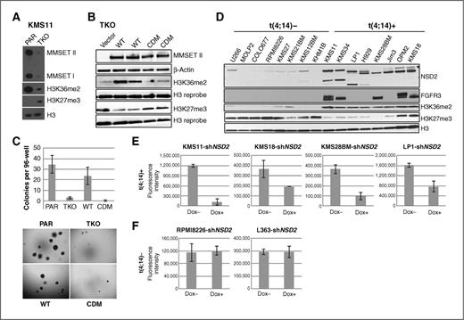 NSD2 Is Recruited through Its PHD Domain to Oncogenic Gene Loci to ...