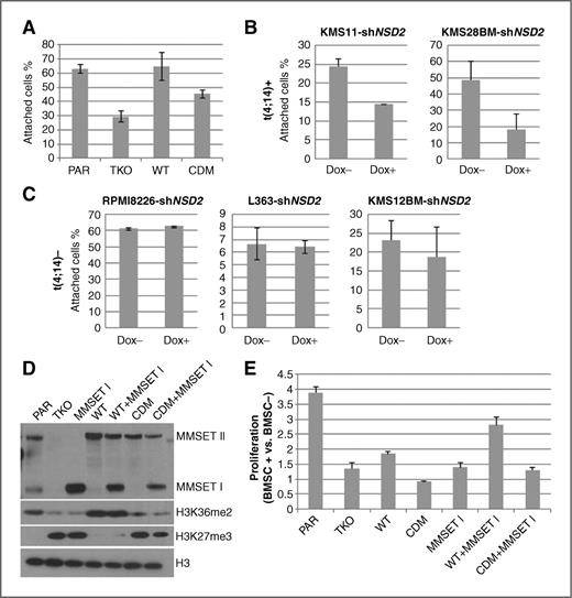 NSD2 Is Recruited through Its PHD Domain to Oncogenic Gene Loci to ...