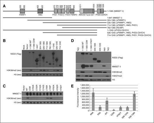 NSD2 Is Recruited through Its PHD Domain to Oncogenic Gene Loci to ...