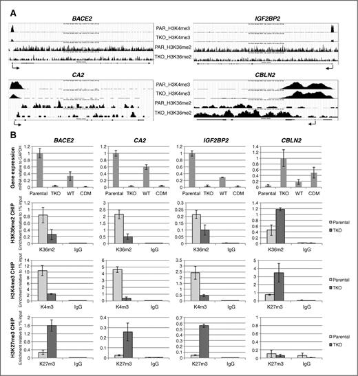 NSD2 Is Recruited through Its PHD Domain to Oncogenic Gene Loci to ...