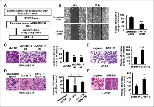 GPR116, an Adhesion G-Protein–Coupled Receptor, Promotes Breast Cancer ...