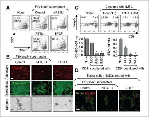 Targeting FSTL1 Prevents Tumor Bone Metastasis and Consequent Immune ...