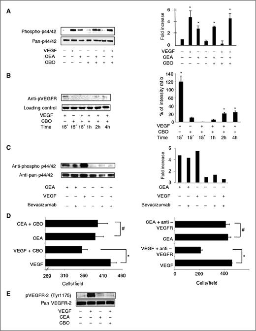 Soluble Carcinoembryonic Antigen Activates Endothelial Cells and Tumor ...