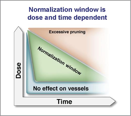Benefits of Vascular Normalization Are Dose and Time Dependent—Letter ...