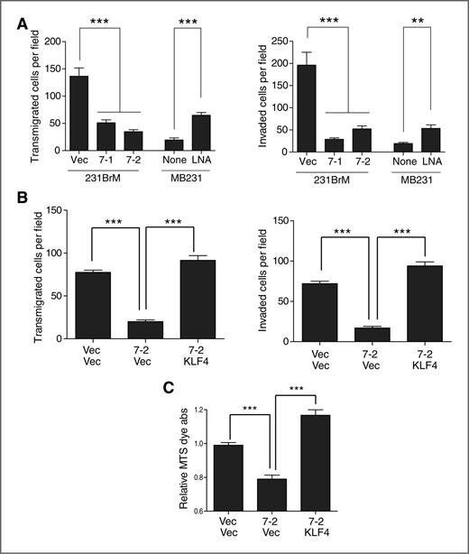miR-7 Suppresses Brain Metastasis of Breast Cancer Stem-Like Cells By ...