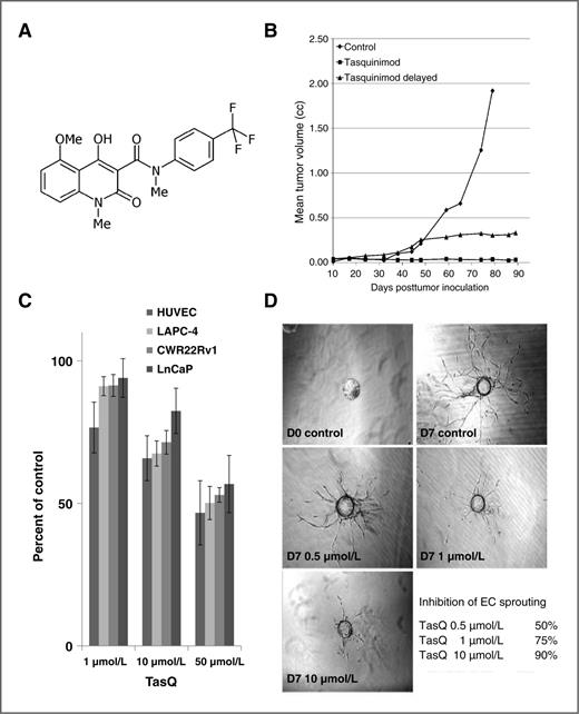 Tasquinimod Is an Allosteric Modulator of HDAC4 Survival Signaling ...