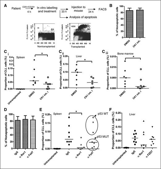 The Planar Cell Polarity Pathway Drives Pathogenesis of Chronic ...