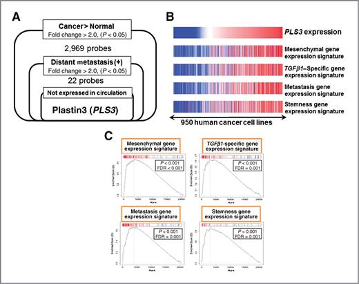 Plastin3 Is a Novel Marker for Circulating Tumor Cells Undergoing the ...