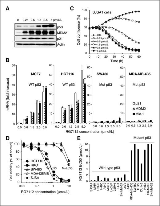 MDM2 Small-Molecule Antagonist RG7112 Activates p53 Signaling and ...