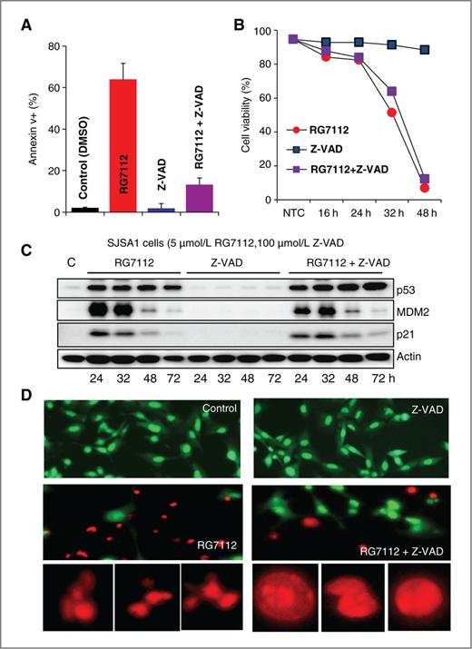 MDM2 Small-Molecule Antagonist RG7112 Activates p53 Signaling and ...