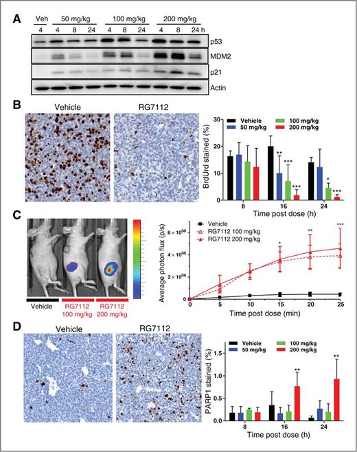 MDM2 Small-Molecule Antagonist RG7112 Activates p53 Signaling and ...