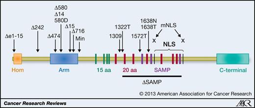 Understanding Phenotypic Variation in Rodent Models with Germline Apc ...