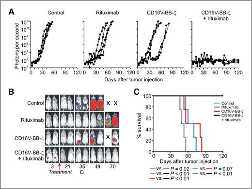 T Lymphocytes Expressing a CD16 Signaling Receptor Exert Antibody ...