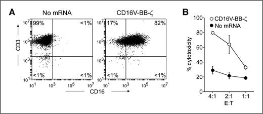 T Lymphocytes Expressing a CD16 Signaling Receptor Exert Antibody ...