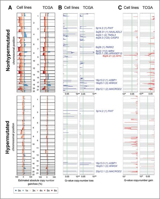 Colorectal Cancer Cell Lines Are Representative Models of the Main ...