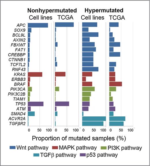 Colorectal Cancer Cell Lines Are Representative Models of the Main ...