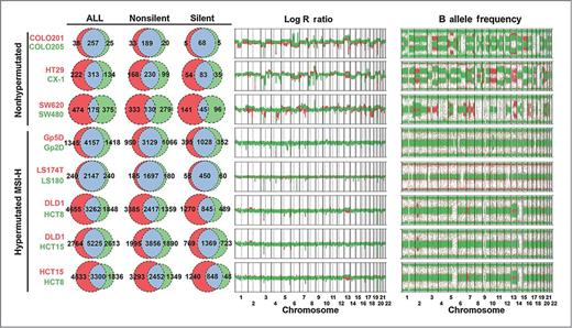 Colorectal Cancer Cell Lines Are Representative Models of the Main ...