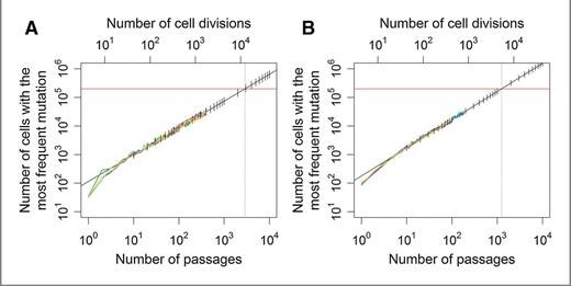 Colorectal Cancer Cell Lines Are Representative Models of the Main ...