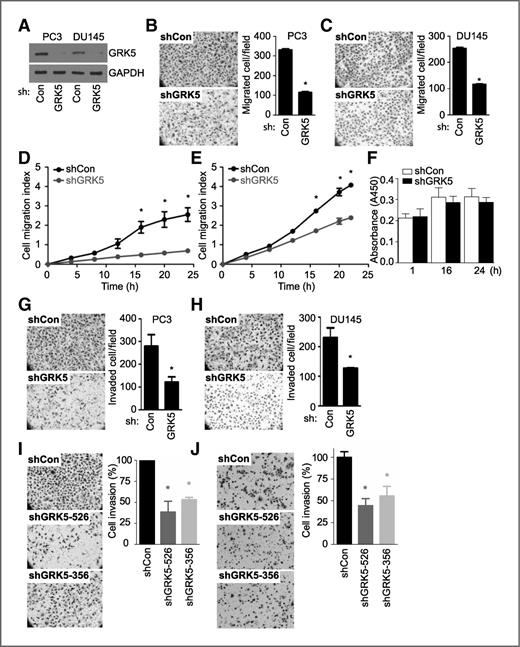 G Protein–Coupled Receptor Kinase GRK5 Phosphorylates Moesin and ...