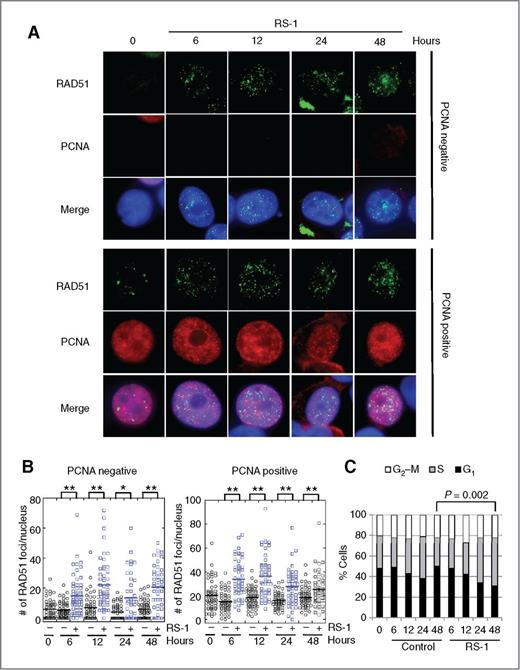 The RAD51-Stimulatory Compound RS-1 Can Exploit the RAD51 ...