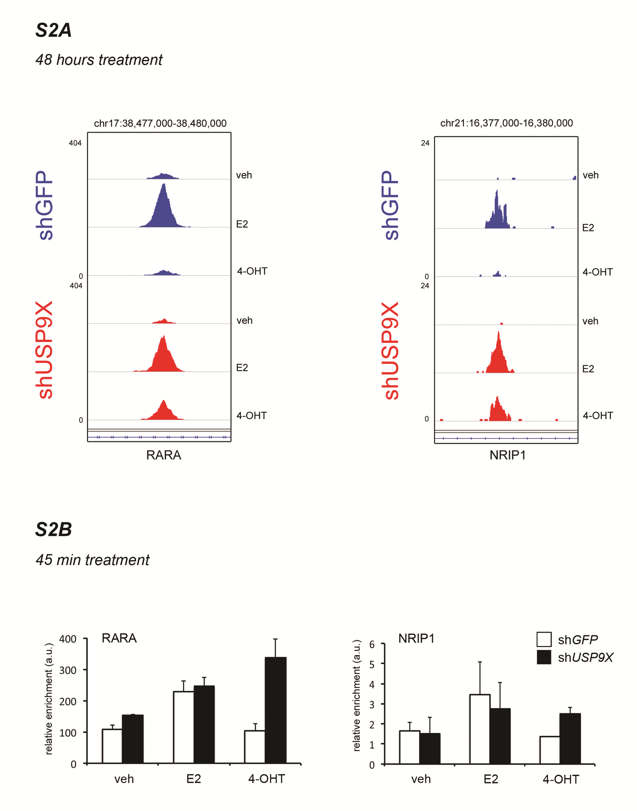 USP9X Downregulation Renders Breast Cancer Cells Resistant to Tamoxifen ...