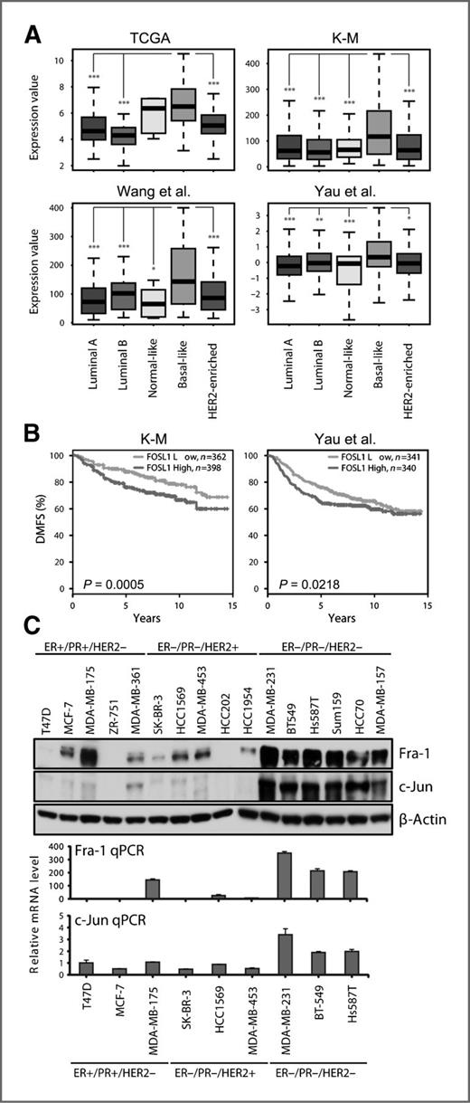 Genome-wide Profiling of AP-1–Regulated Transcription Provides Insights ...