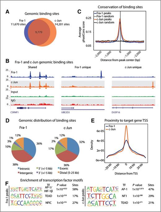 Genome-wide Profiling of AP-1–Regulated Transcription Provides Insights ...
