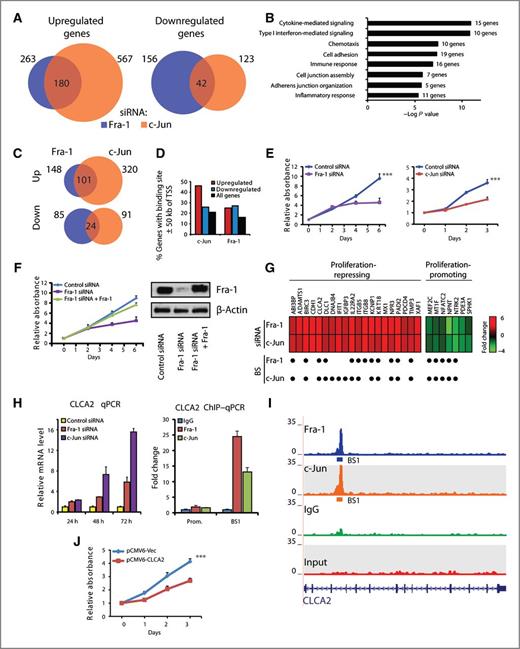Genome-wide Profiling of AP-1–Regulated Transcription Provides Insights ...