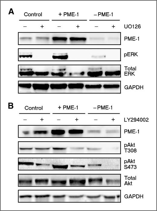 PME-1 Modulates Protein Phosphatase 2A Activity to Promote the ...