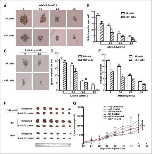 Afatinib Enhances the Efficacy of Conventional Chemotherapeutic Agents ...