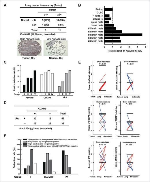 ADAM9 Promotes Lung Cancer Metastases to Brain by a Plasminogen ...
