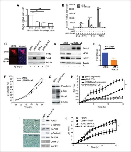 Runx2 Is a Novel Regulator of Mammary Epithelial Cell Fate in ...