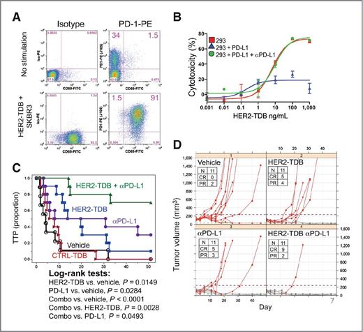 Antitumor Efficacy of a Bispecific Antibody That Targets HER2 and ...